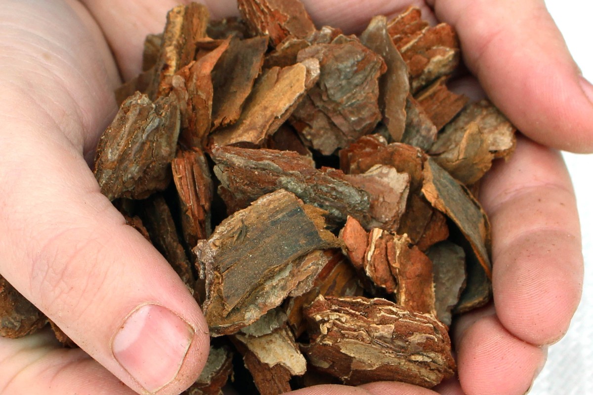 Landscape Bark Is Effective Solution For A Beautiful Garden Lopart